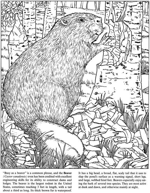 Welcome to Dover Publications