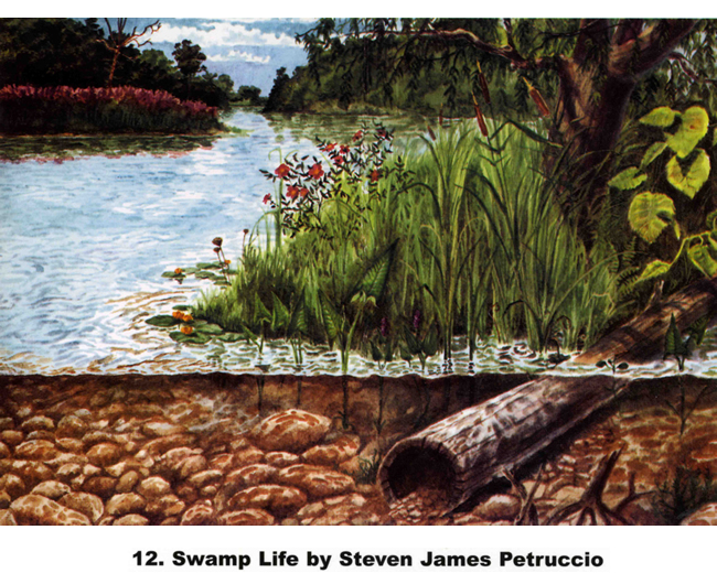 Welcome to Dover Publications