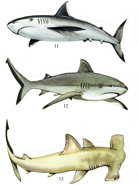 Welcome to Dover Publications