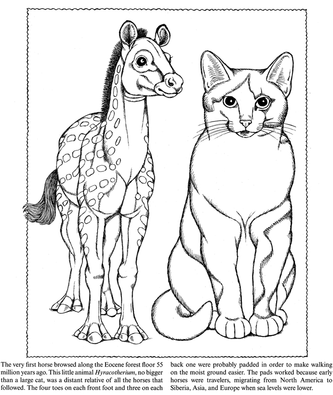 Welcome to Dover Publications