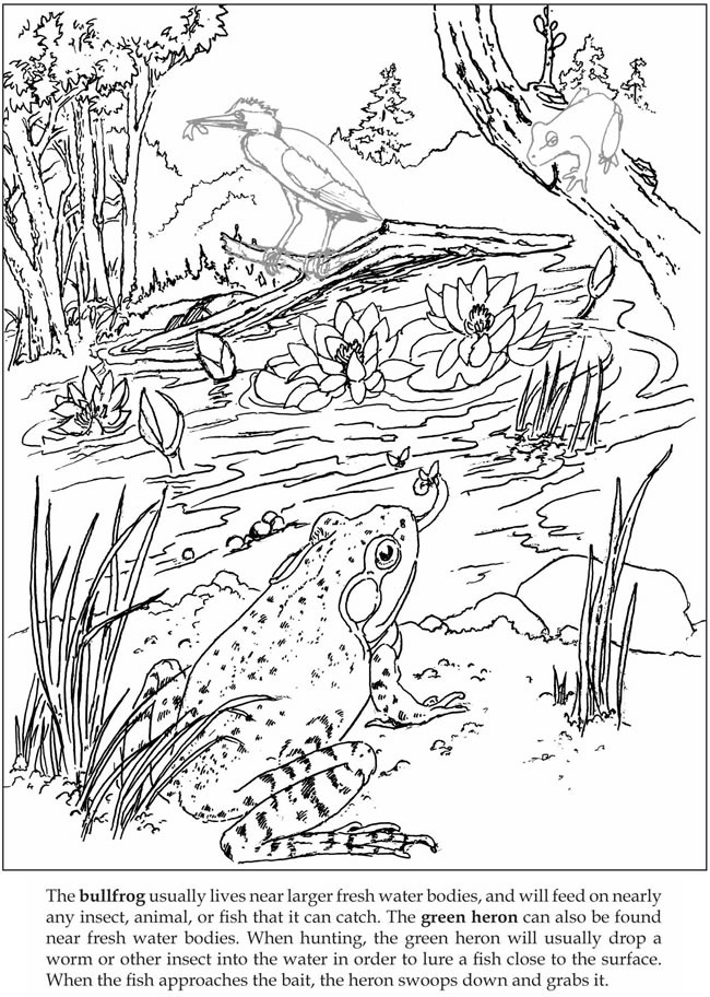 Welcome to Dover Publications