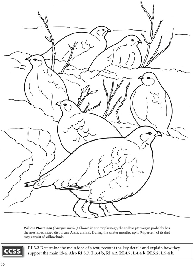 Welcome to Dover Publications
