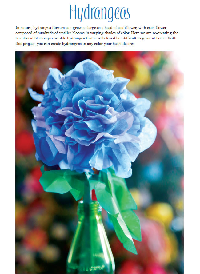 Welcome to Dover Publications